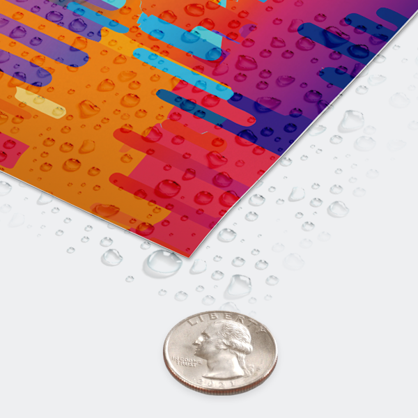 010 PVC Poster | FireSprint.com | Trade-Only Printer